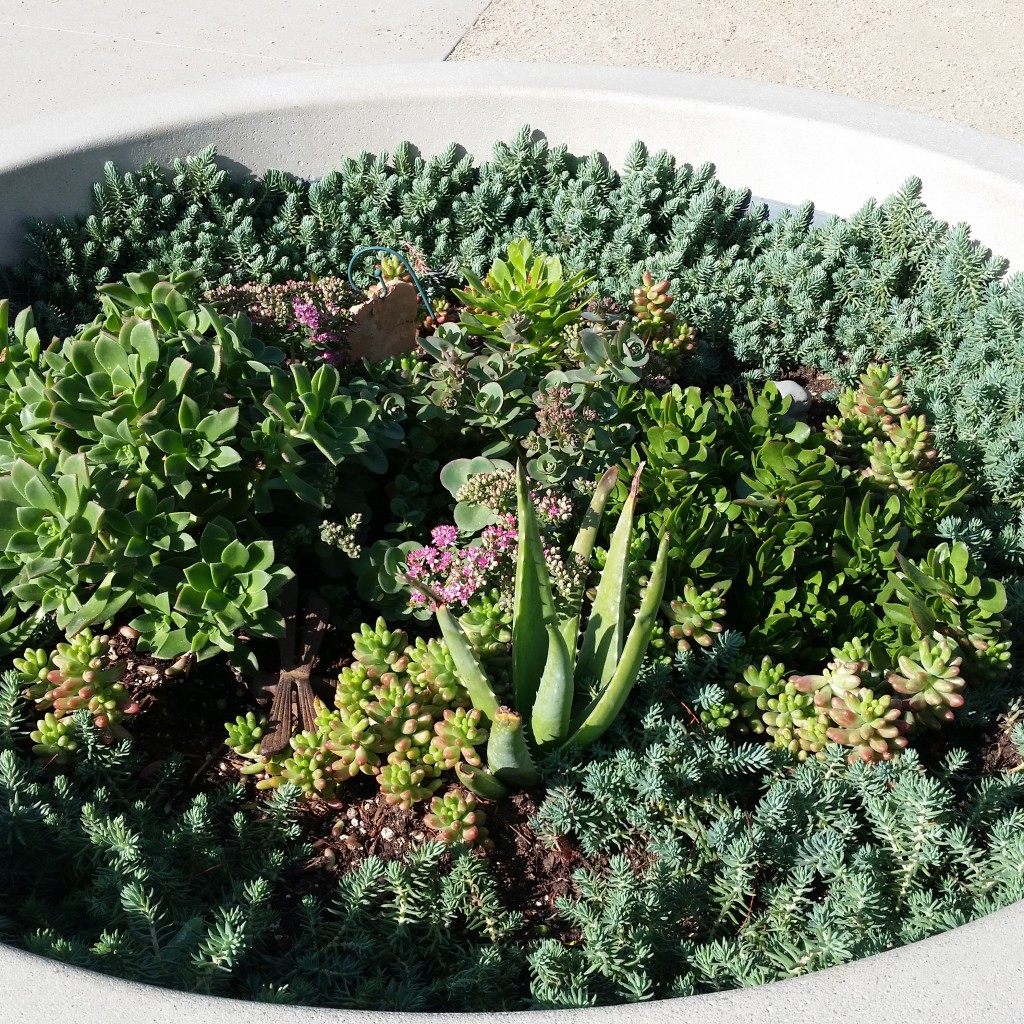 STEM Lab Photos | Children's Center at Caltech