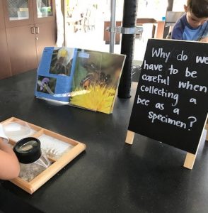 STEM Lab Photos | Children's Center at Caltech