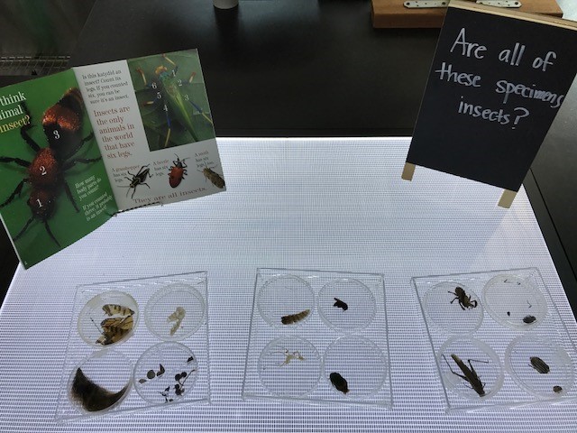 STEM Lab Photos | Children's Center at Caltech