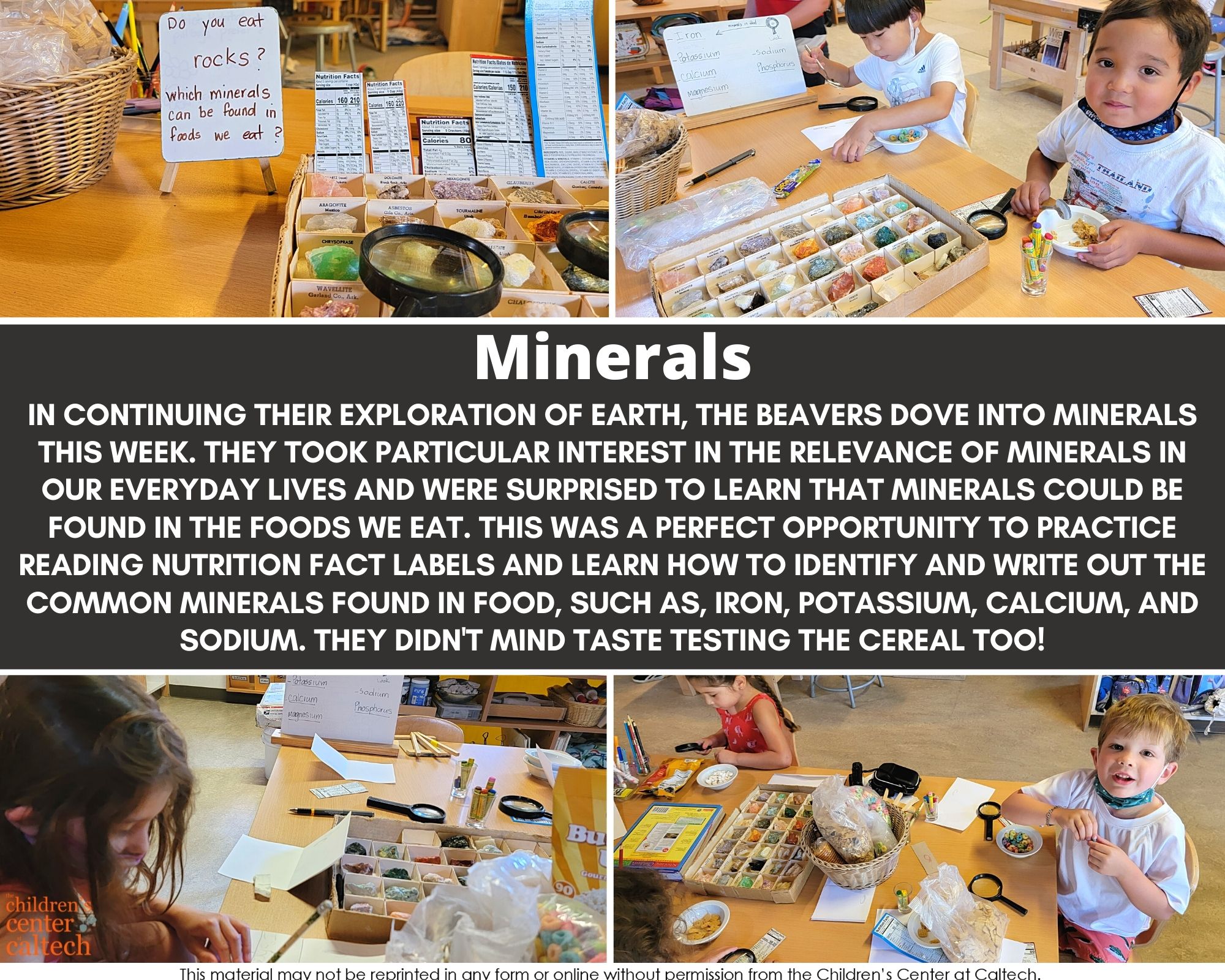 Beavers Photo Reflection Pages | Children's Center at Caltech